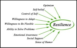 Resilience 101: Consciously Building Your Coping Skills Before Life ...